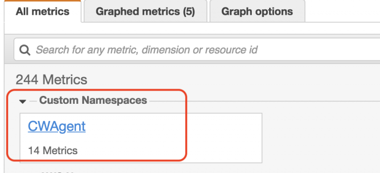 How to Collect Custom metrics from EC2 | DataNext Solutions