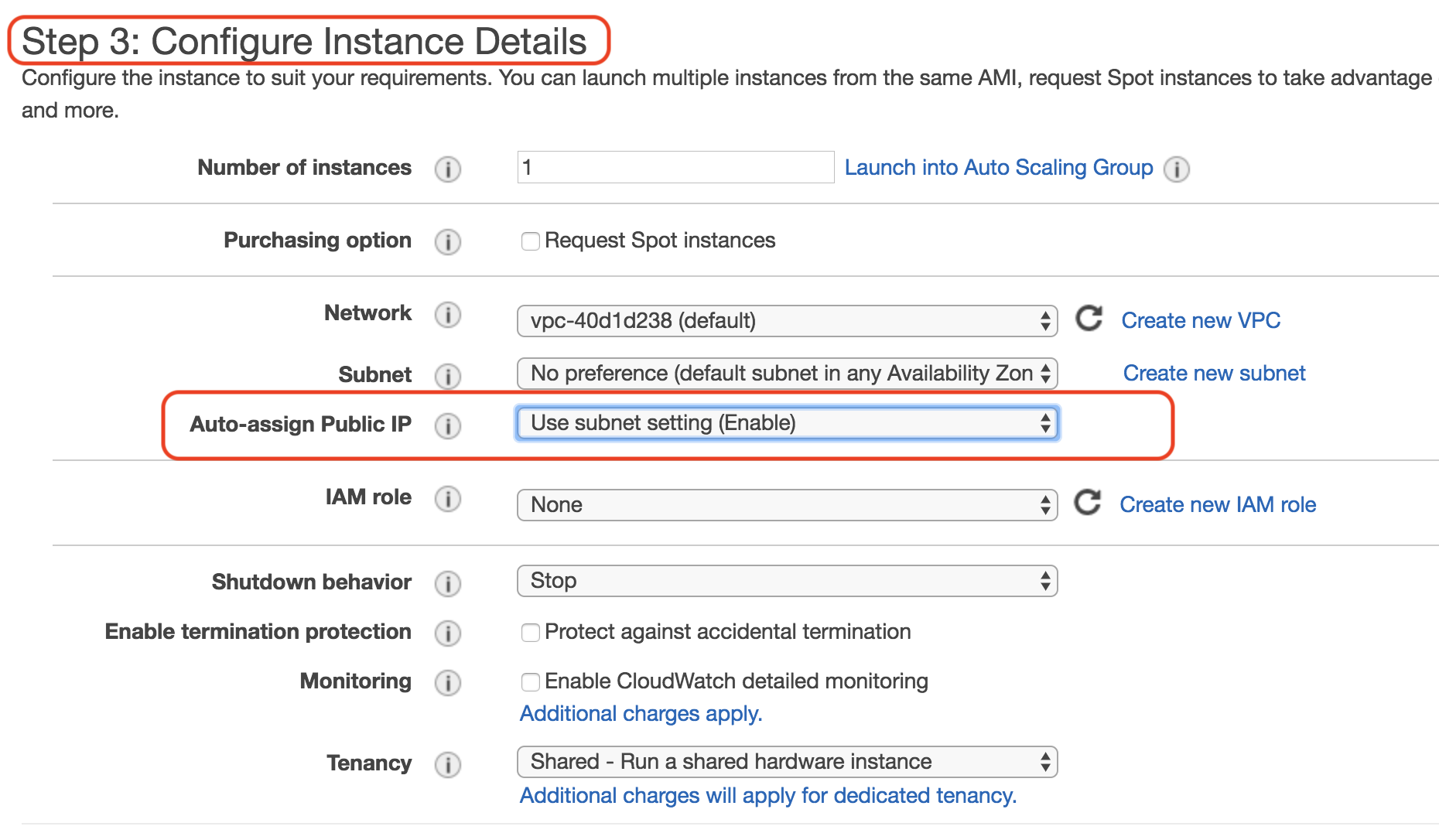 Assign Public IPs on EC2 Instances | DataNext Solutions